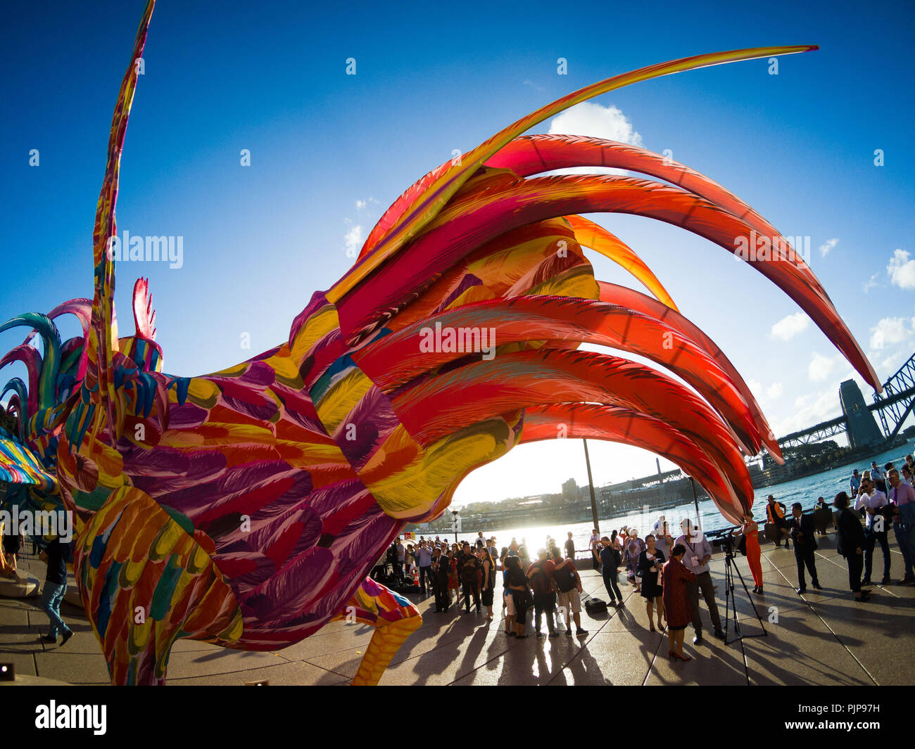 Pictured is one of the two eight-metre-high Rooster lanterns pictured ...