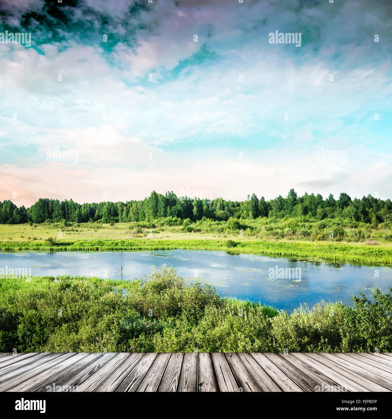 Summer field and forest landscape. Clear outdoor Stock Photo - Alamy