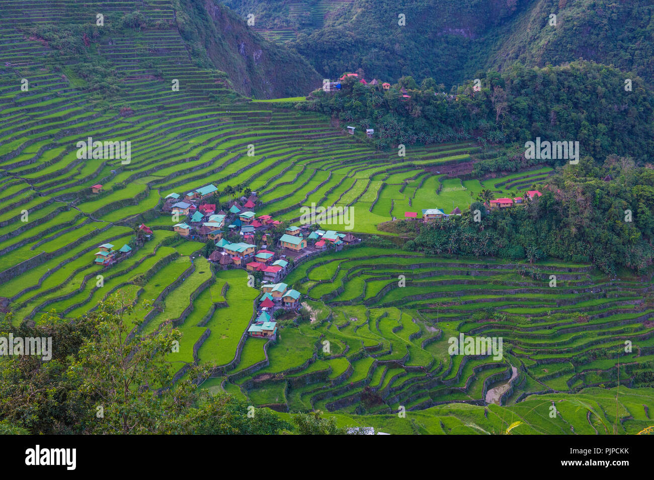 View of rice terraces fields in Banaue, Philippines Stock Photo - Alamy