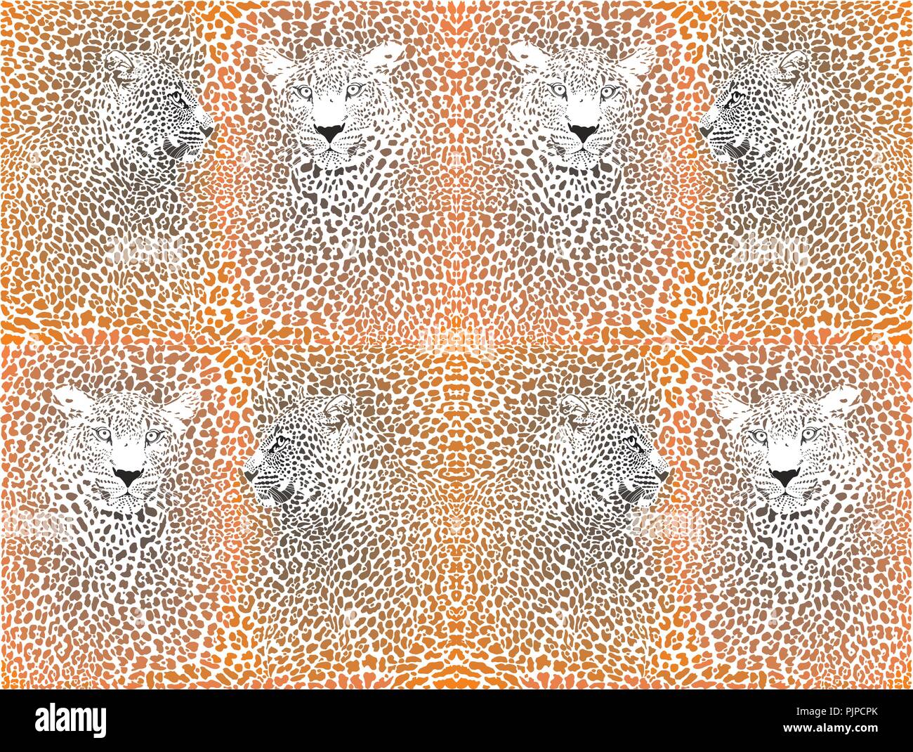 Carnivore spotted leopard Stock Vector Images - Alamy