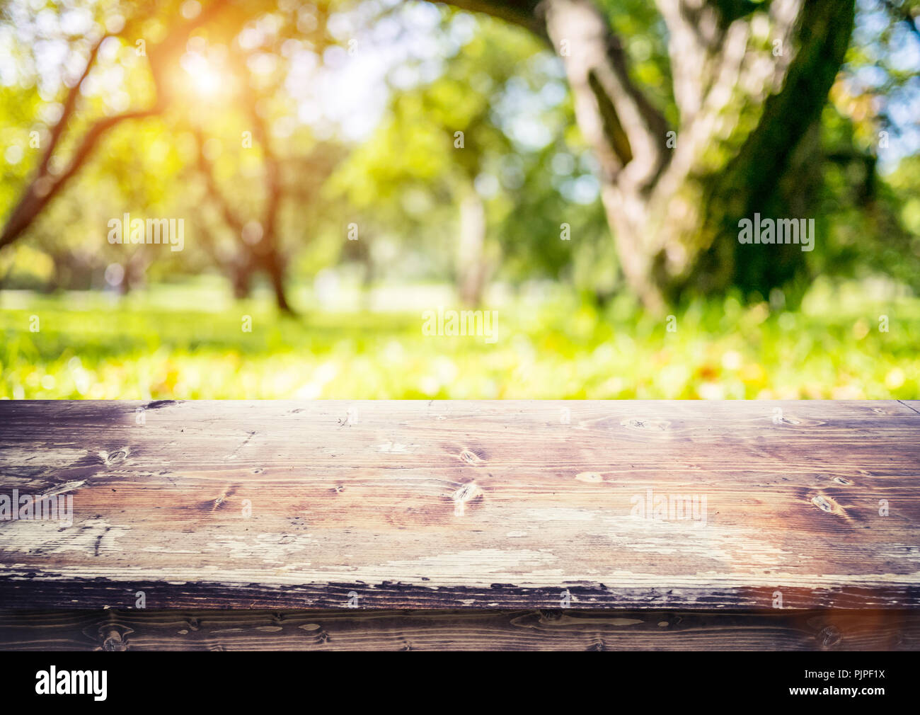 Park outdoor blur background. Summer bokeh morning Stock Photo - Alamy
