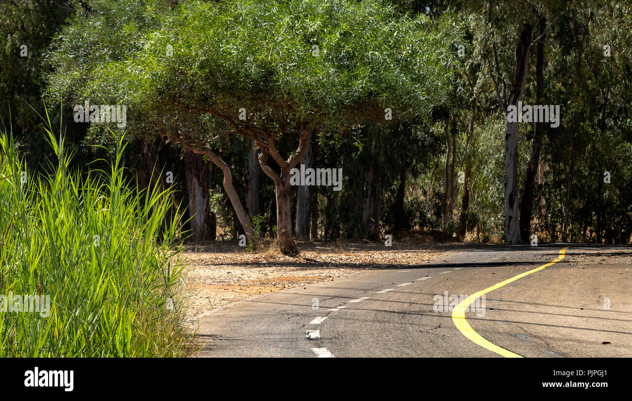Yarkon park hi-res stock photography and images - Alamy