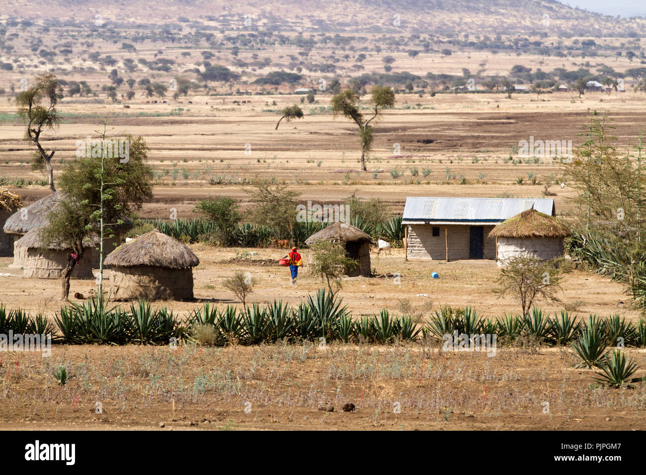 masai tribe village Stock Photo - Alamy