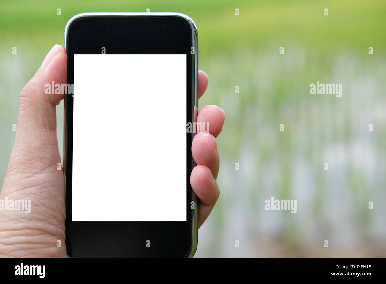 agronomist farmer using smart phone to monitor humidity, pH ...