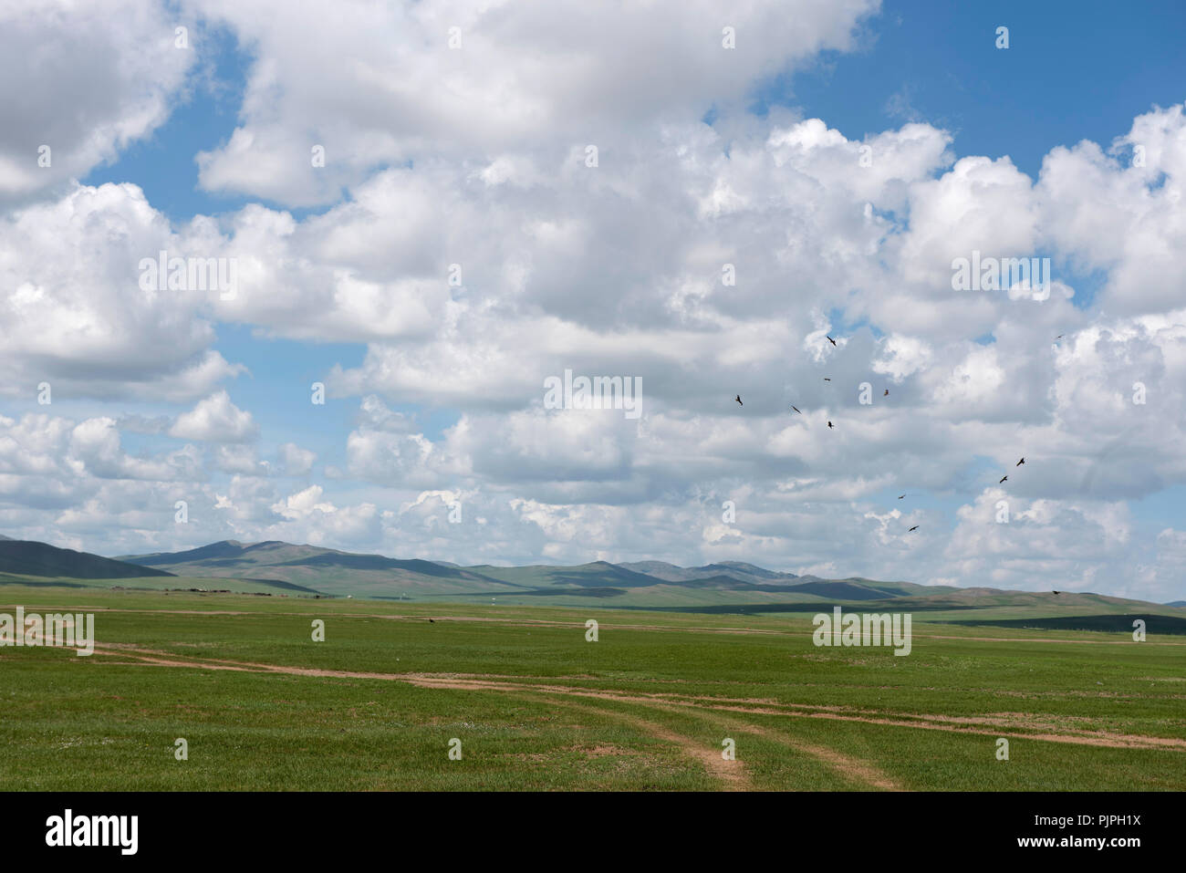 The Mongolian Countryside Stock Photo - Alamy
