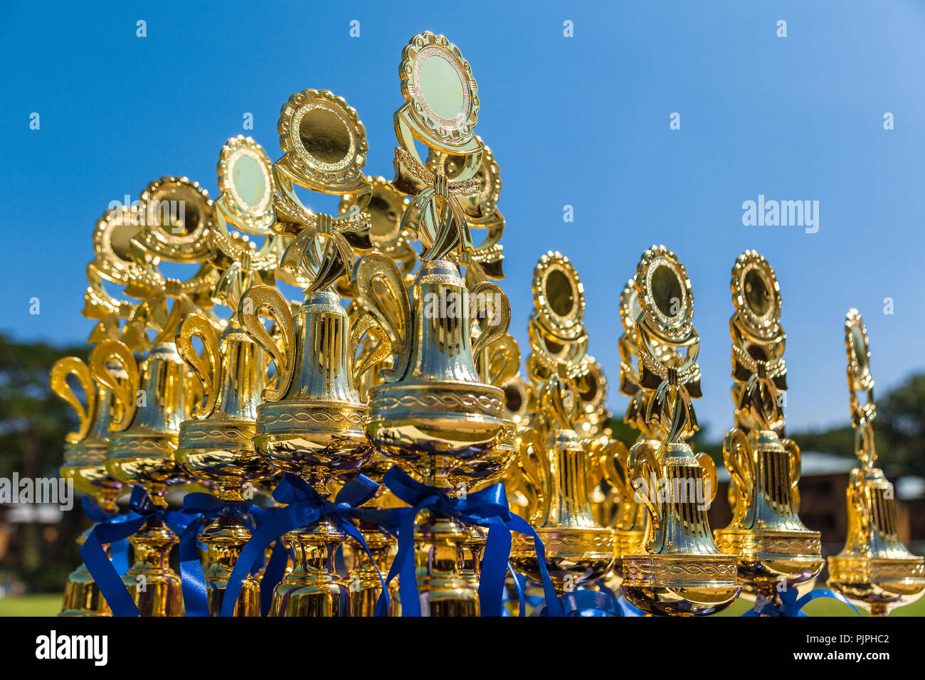 Table Of Trophies High Resolution Stock Photography and Images - Alamy