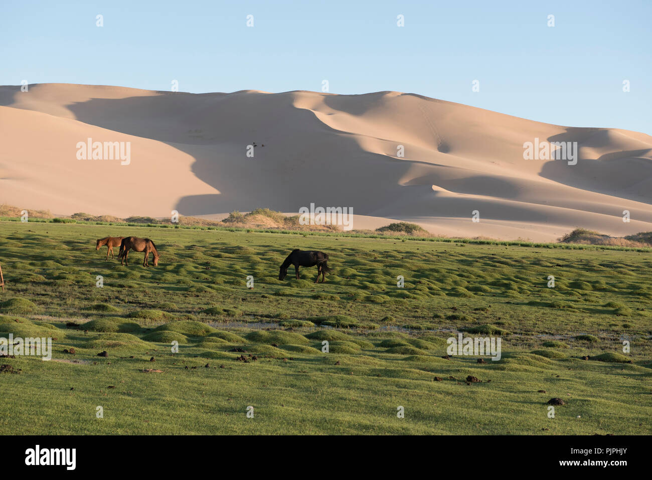 Mongolian countryside hi-res stock photography and images - Alamy