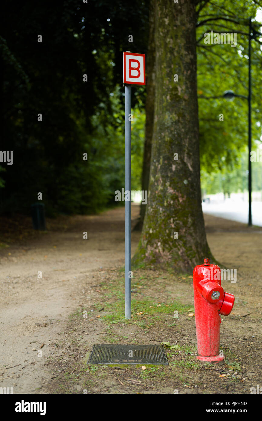 Fire hydrant with tree hi-res stock photography and images - Alamy