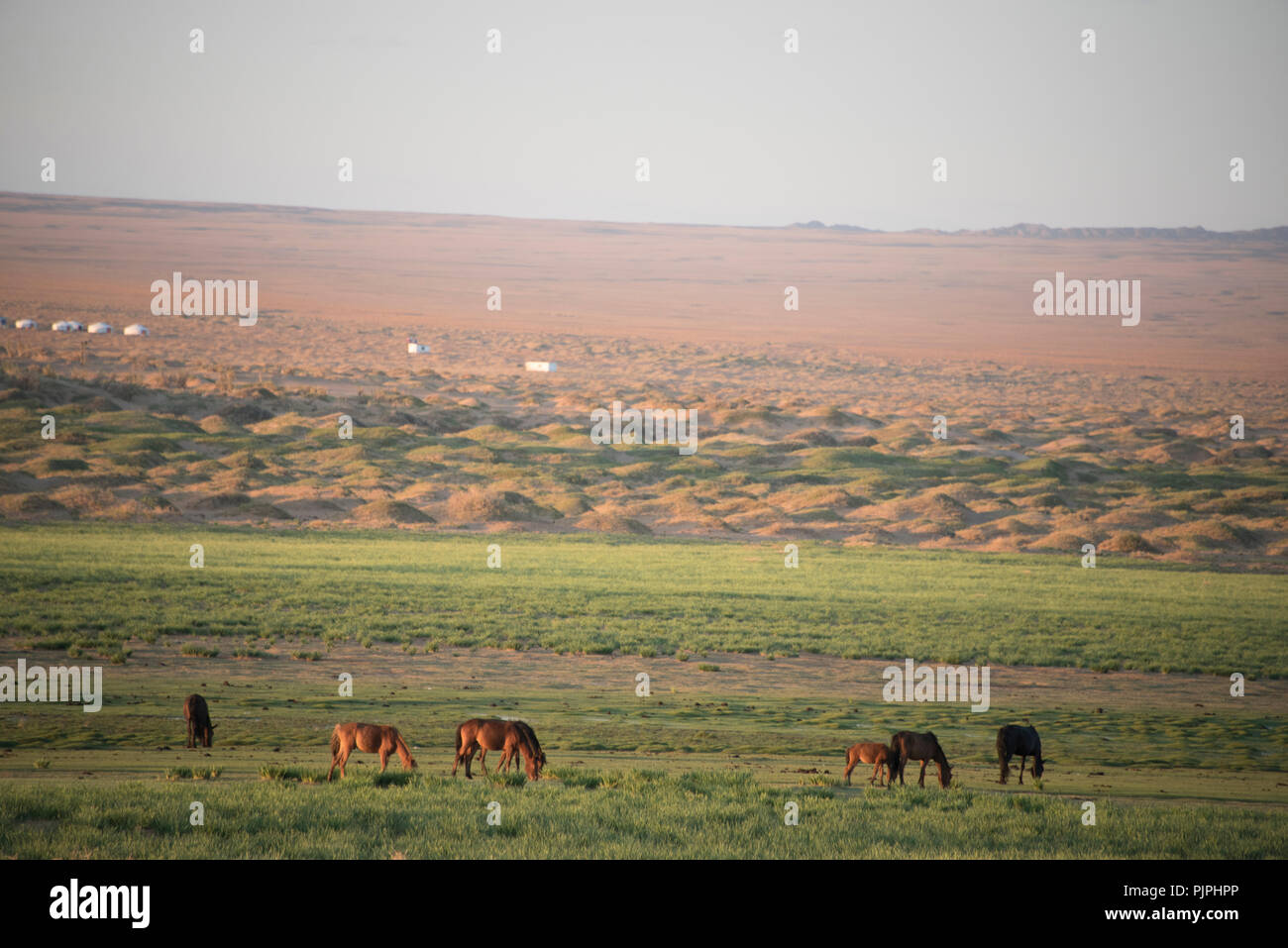 The Mongolian countryside Stock Photo - Alamy