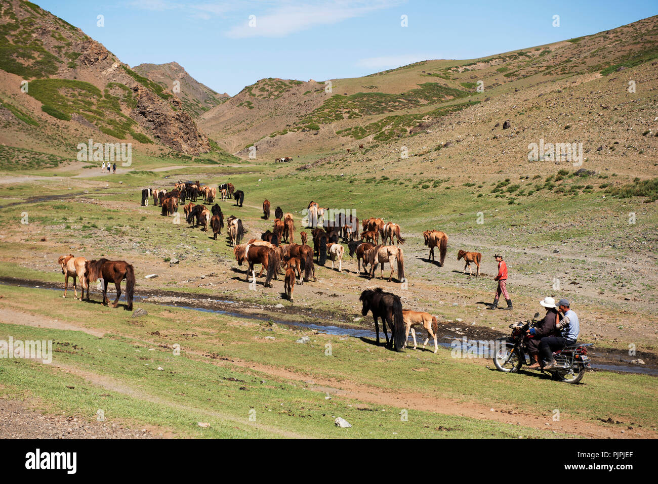 The Mongolian countryside Stock Photo - Alamy