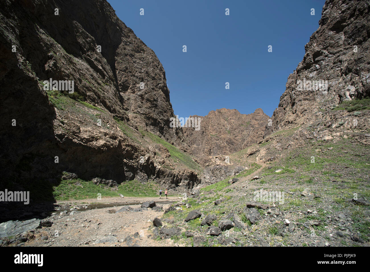 Mongolian countryside hi-res stock photography and images - Alamy