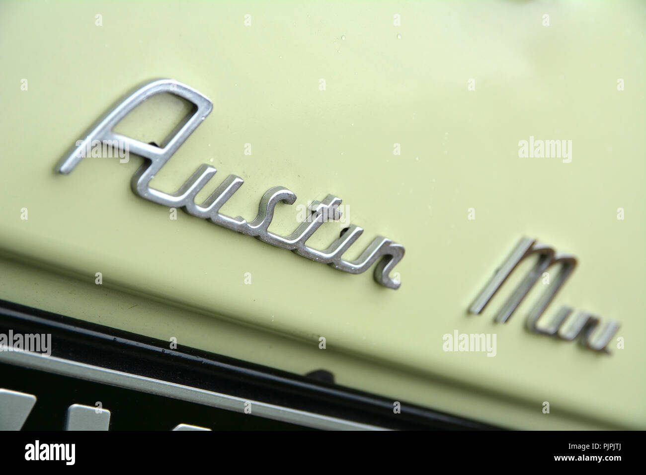 Classic mini badge hi-res stock photography and images - Alamy