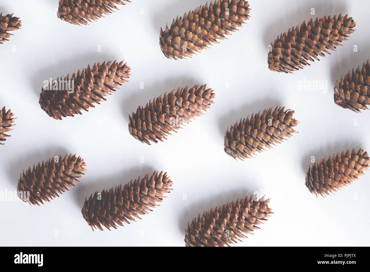 Fir cone pattern Stock Photo - Alamy
