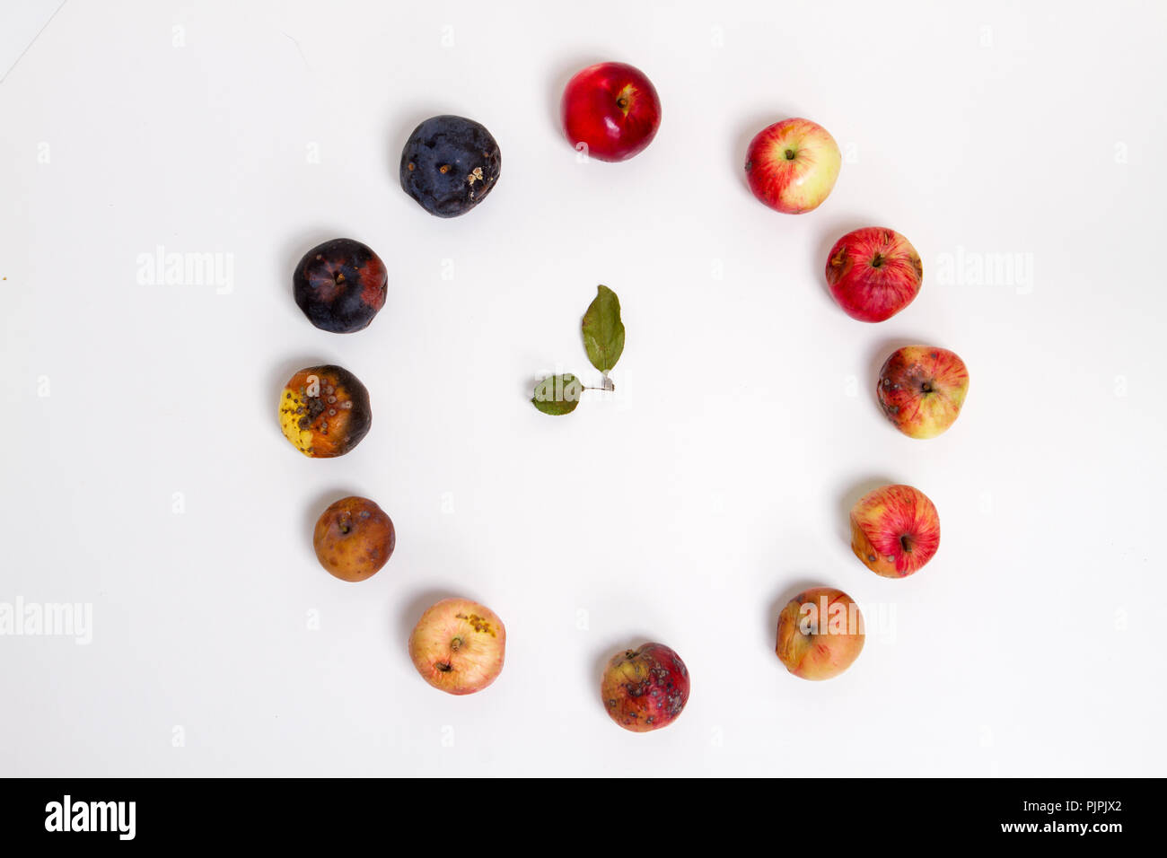 Stages of life hi-res stock photography and images - Alamy