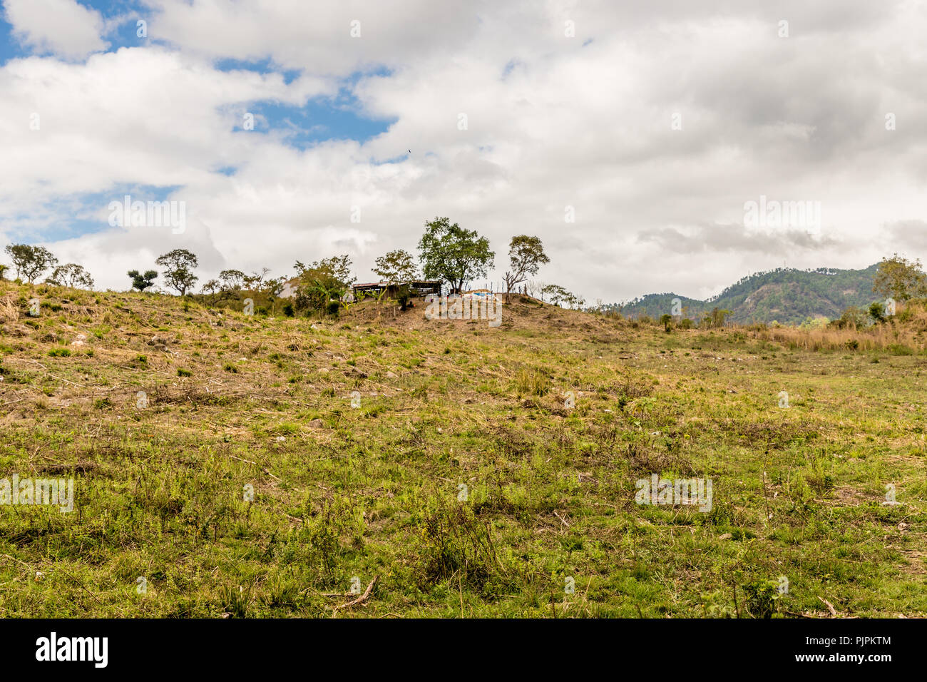 Copan ruins honduras hi-res stock photography and images - Alamy