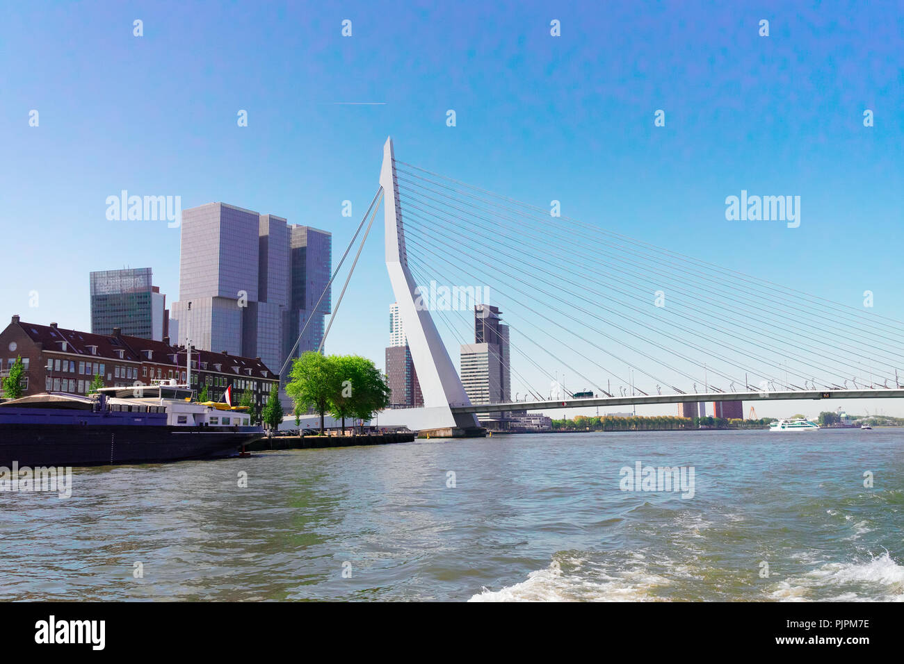 Rotterdam port modern skyline at sunny summer day, Netherlands Stock ...
