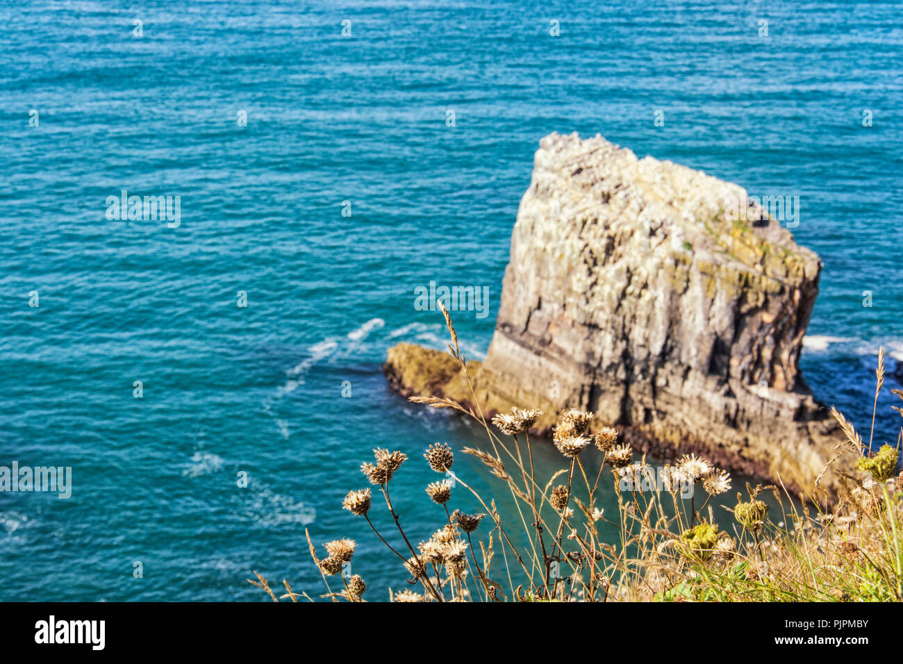 Stack Rocks & The Green Bridge of Wales South Wales Pembrokeshire Stock ...