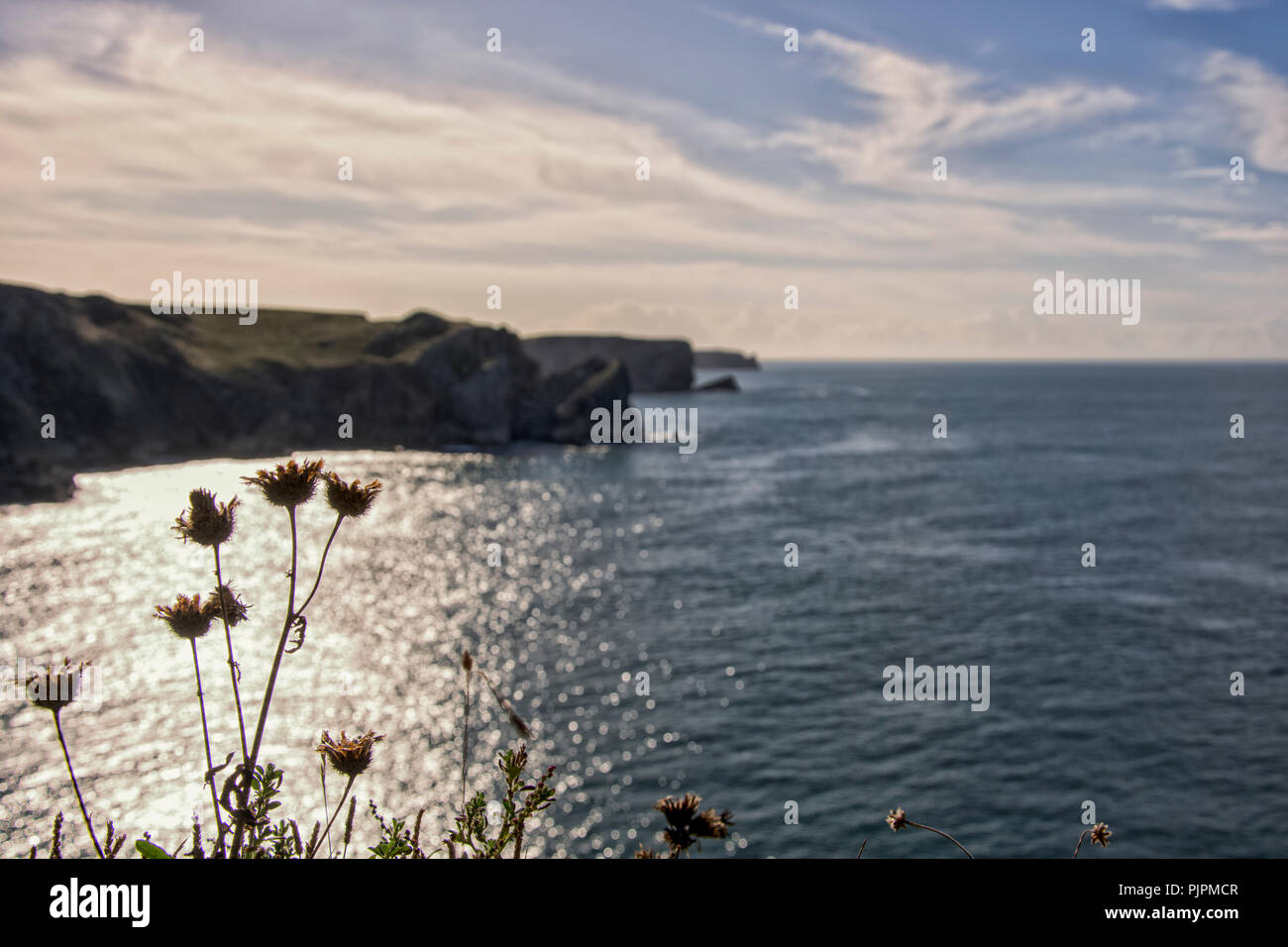 Stack Rocks & The Green Bridge of Wales South Wales Pembrokeshire Stock ...