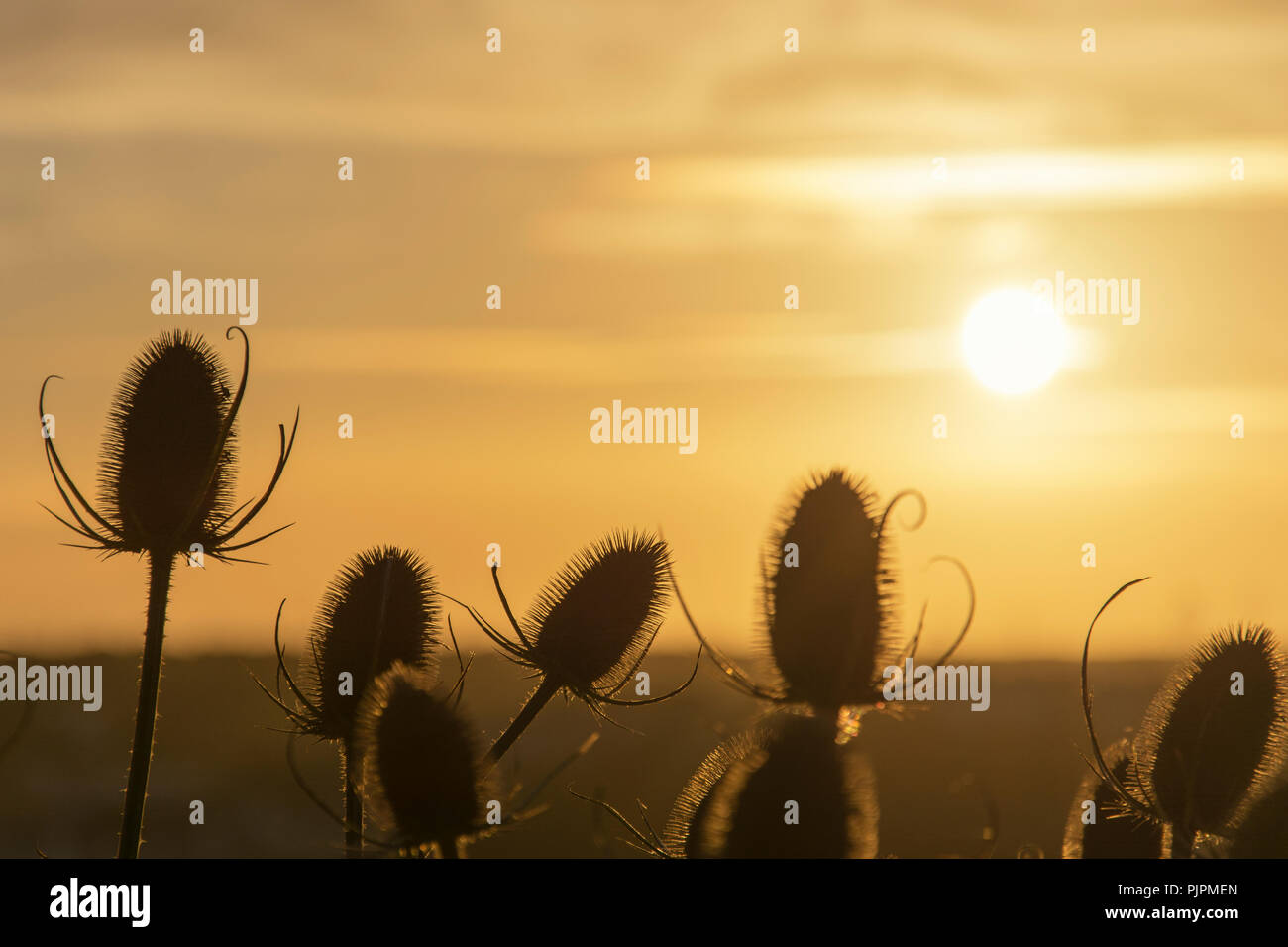 Pembroke River Sunset Stock Photo - Alamy