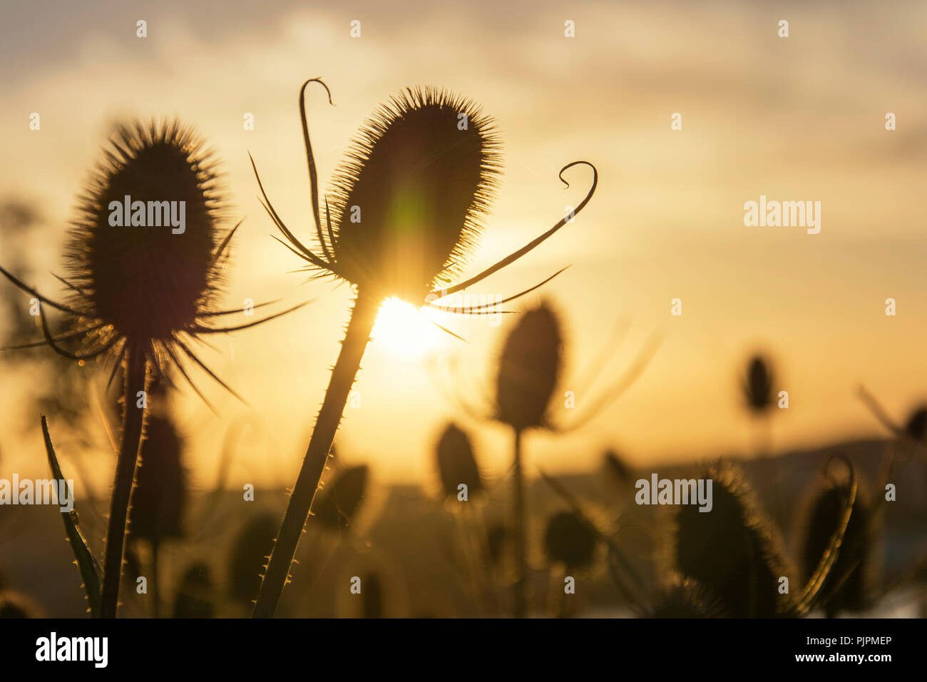 Pembroke River Sunset Stock Photo - Alamy