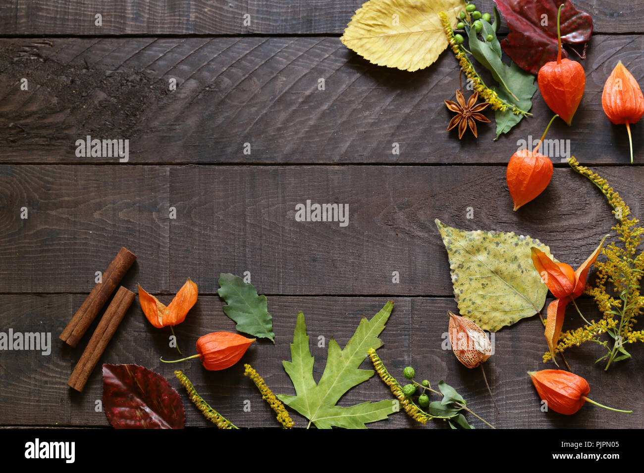 autumn background with yellow leaves Stock Photo - Alamy