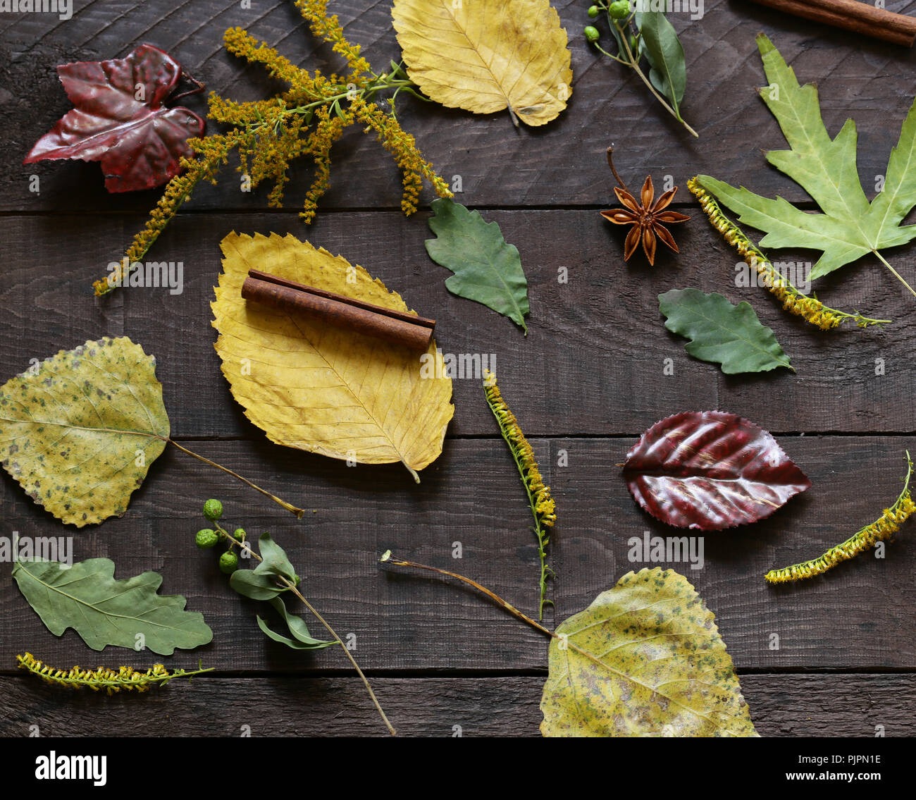 autumn background with yellow leaves Stock Photo - Alamy