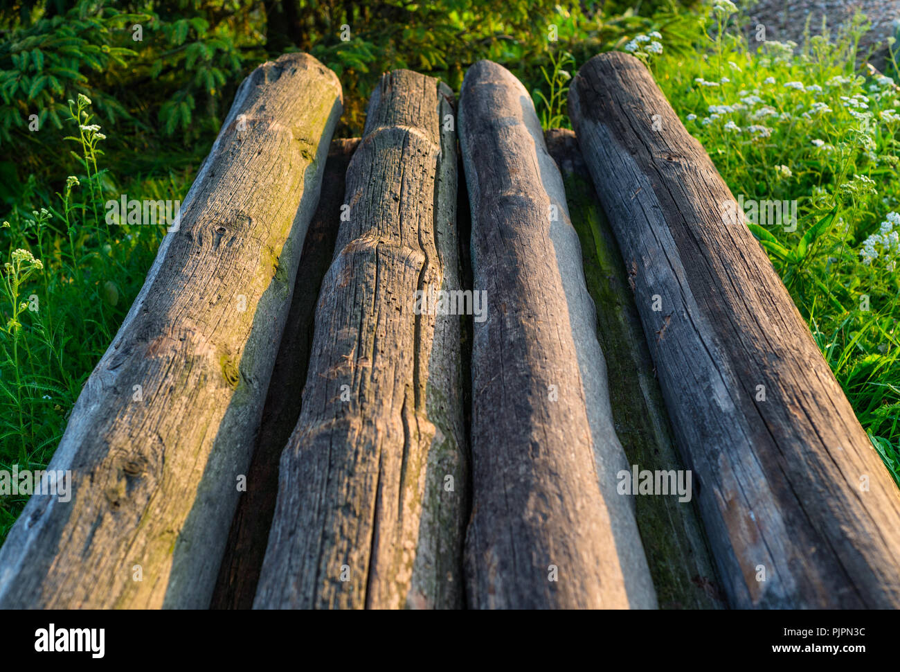 Cut Pile Design High Resolution Stock Photography and Images - Alamy