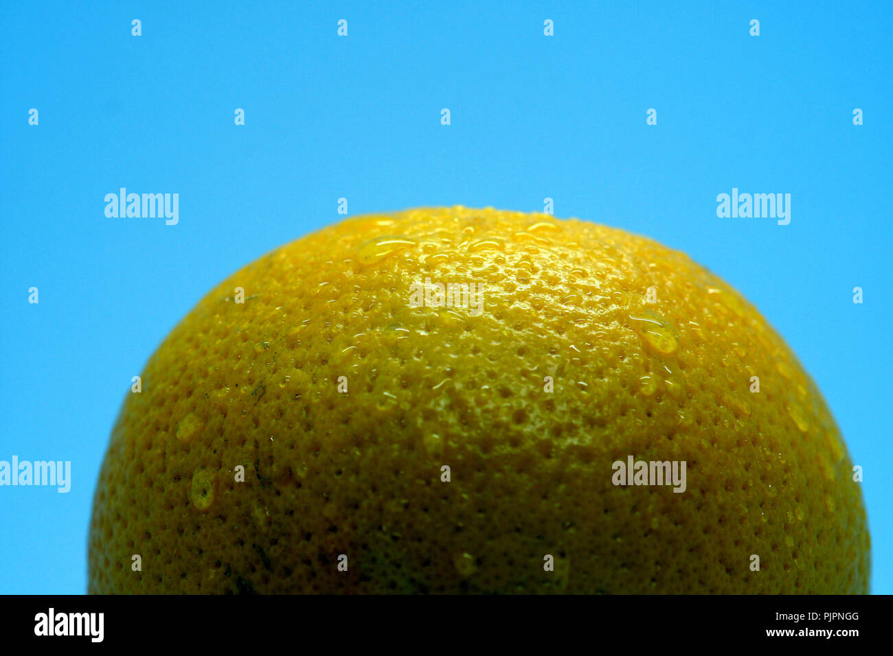 fresh sweet orange Stock Photo - Alamy