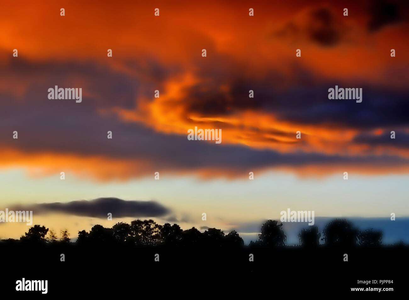 Orange is cool Stock Photo - Alamy