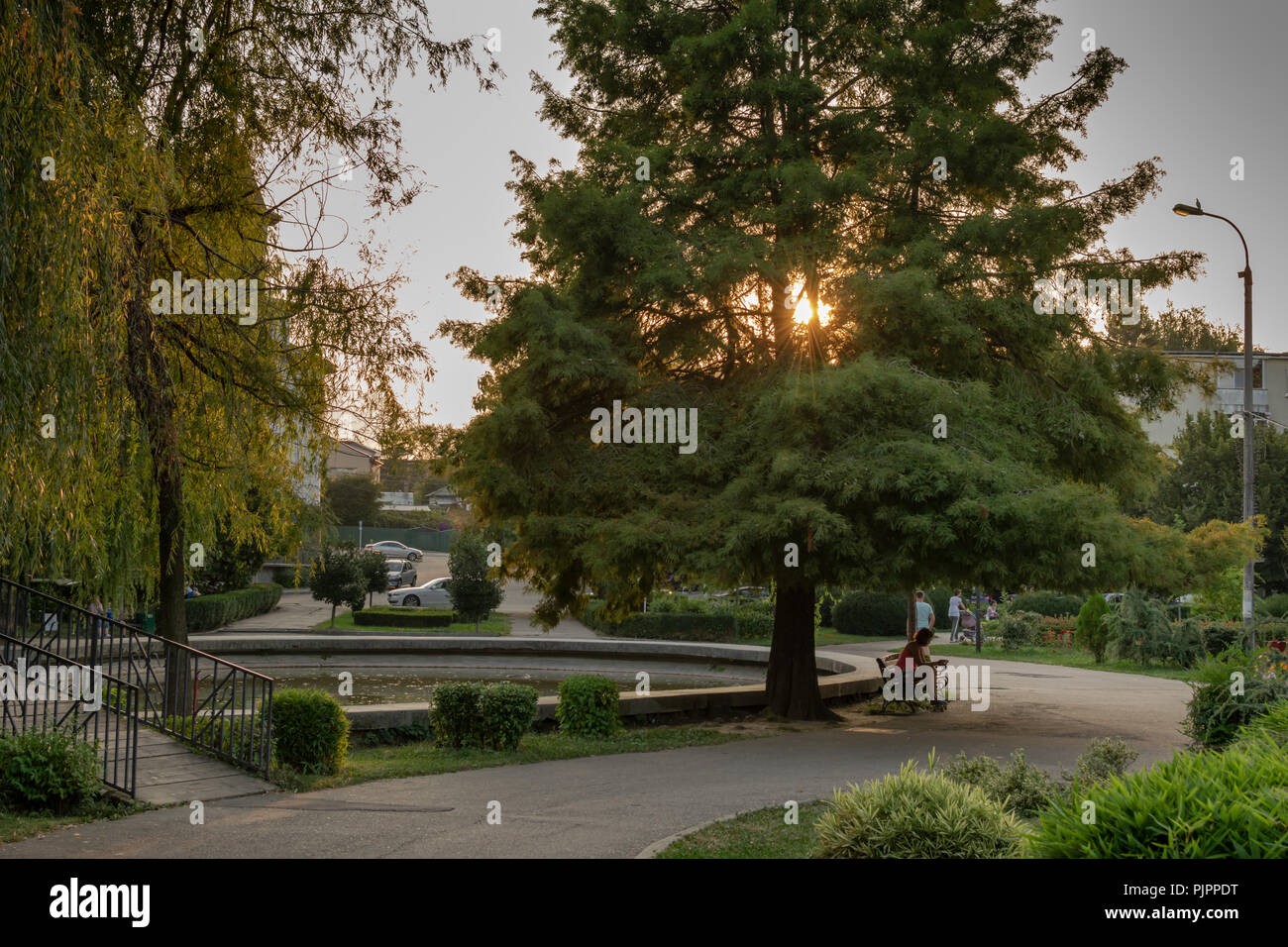 Sunset walkway park garden hi-res stock photography and images - Alamy
