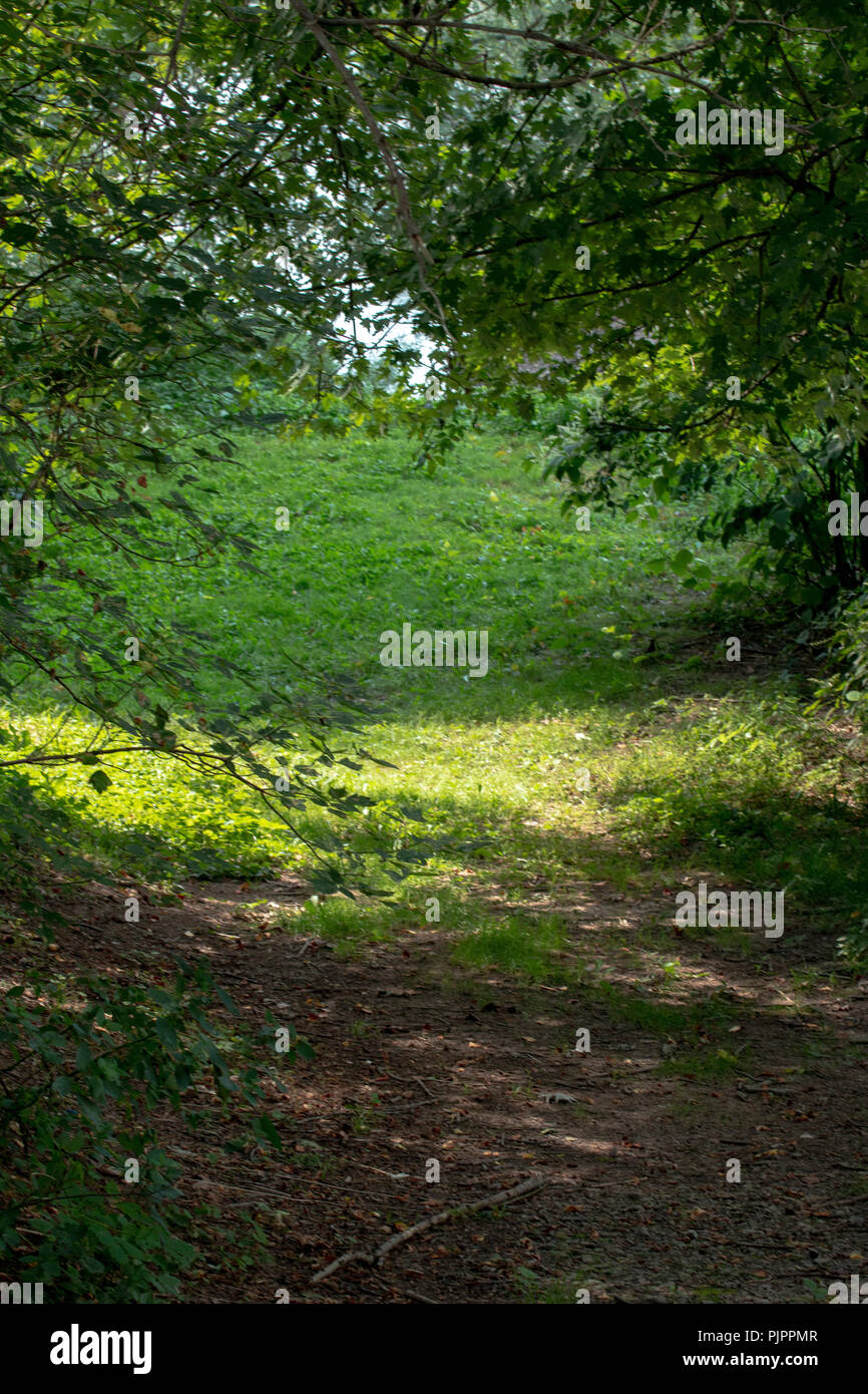 this trail is a very pretty trail is the end forest Stock Photo - Alamy