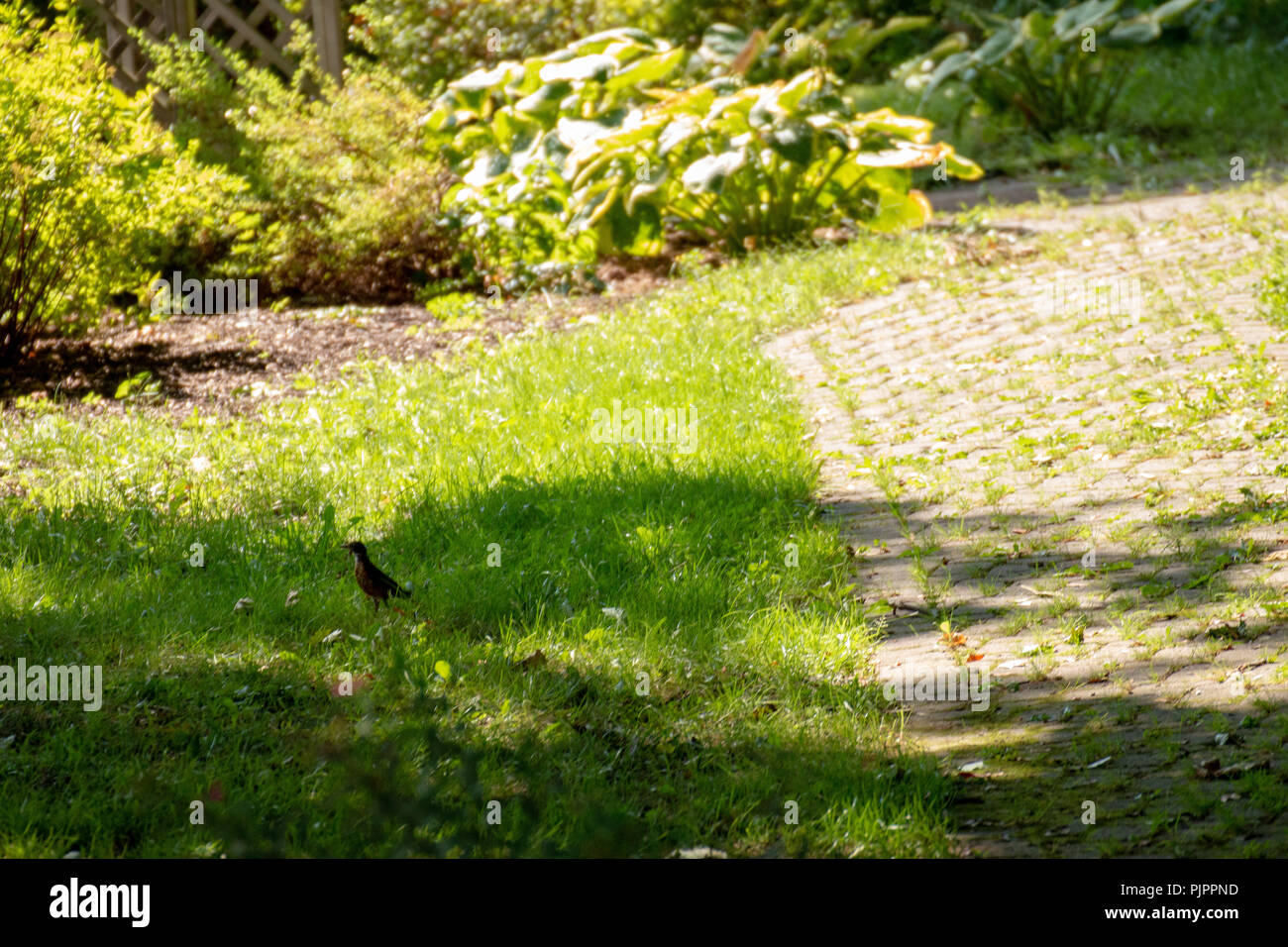 Nice walk park hi-res stock photography and images - Alamy