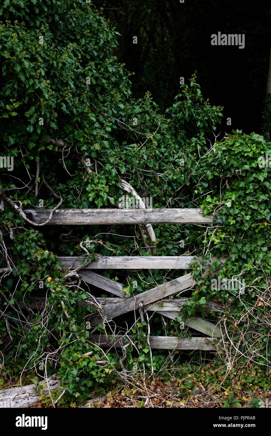 Farm gate blocked hi-res stock photography and images - Alamy
