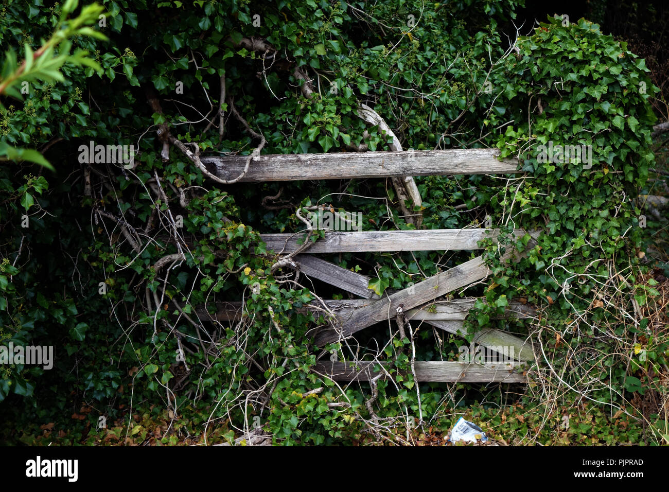 Useless gate hi-res stock photography and images - Alamy