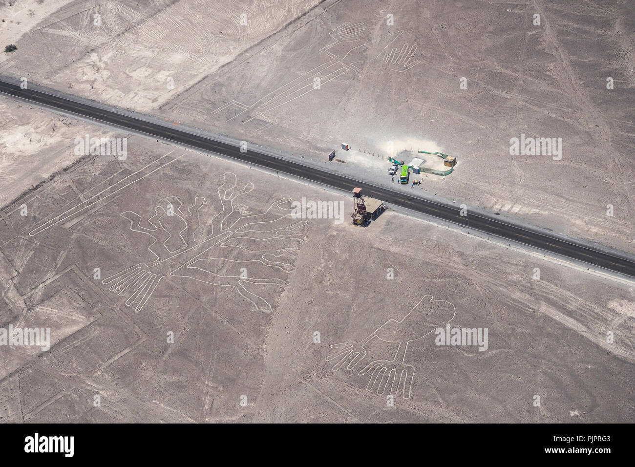 Nazca Lines - The Trees, The Lizard and The Hands. (Peru Stock Photo ...