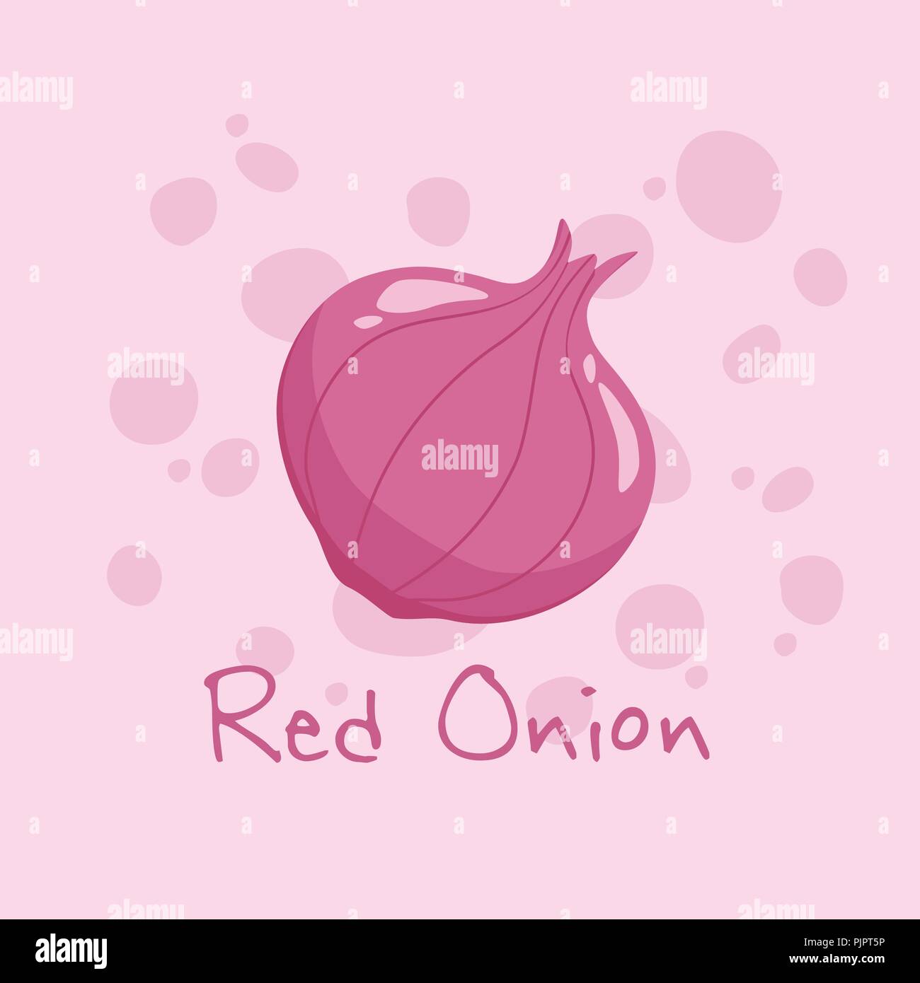 Red onion isolated on Stock Vector Images - Alamy