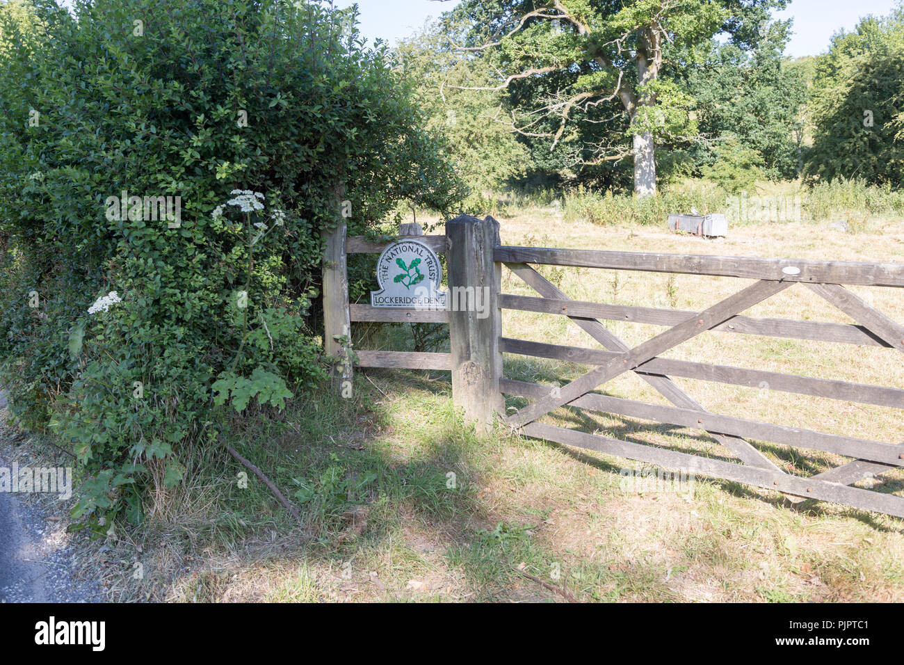 Lockeridge dene hi-res stock photography and images - Alamy