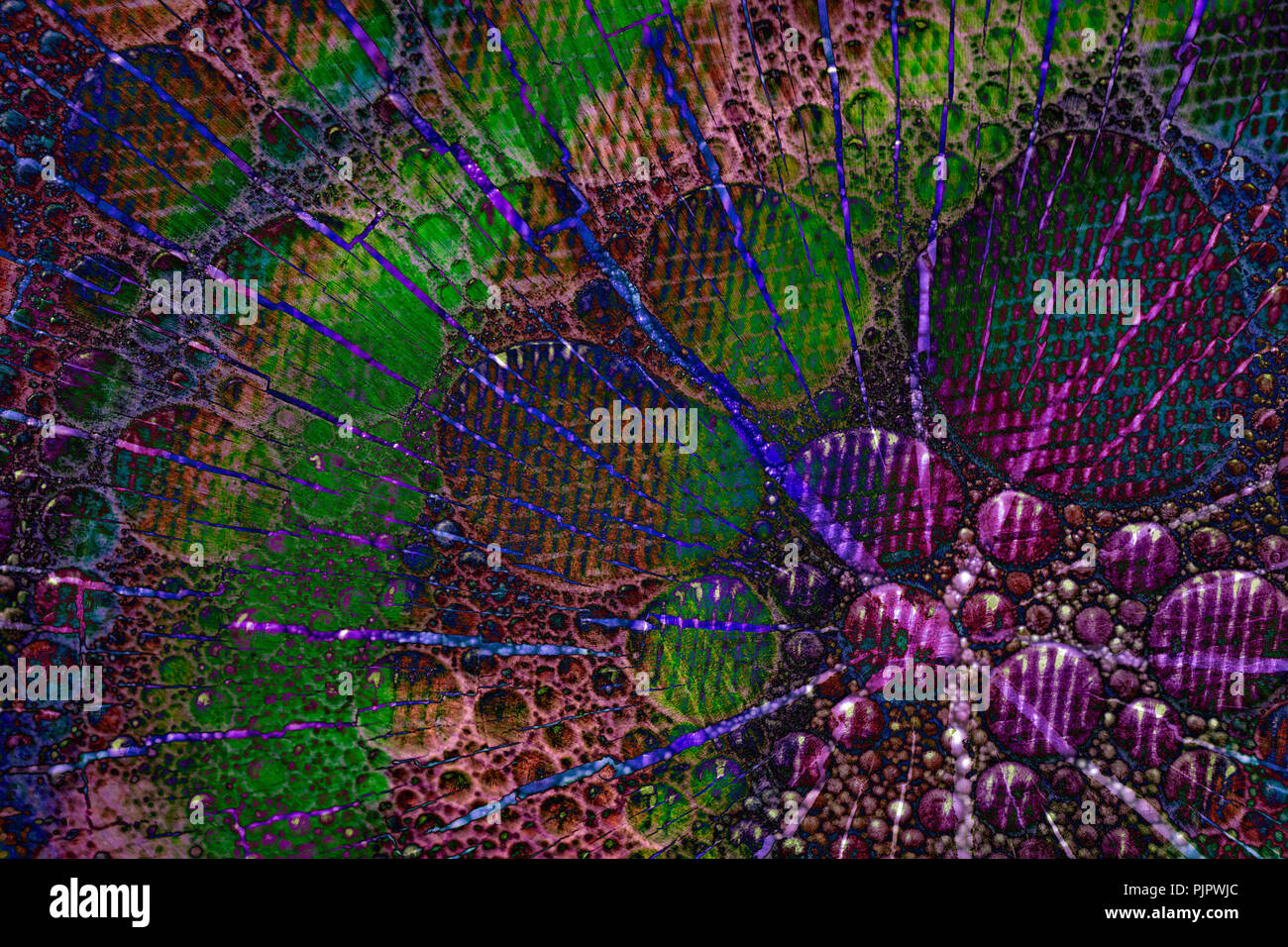 Colourful abstract pattern design Stock Photo - Alamy