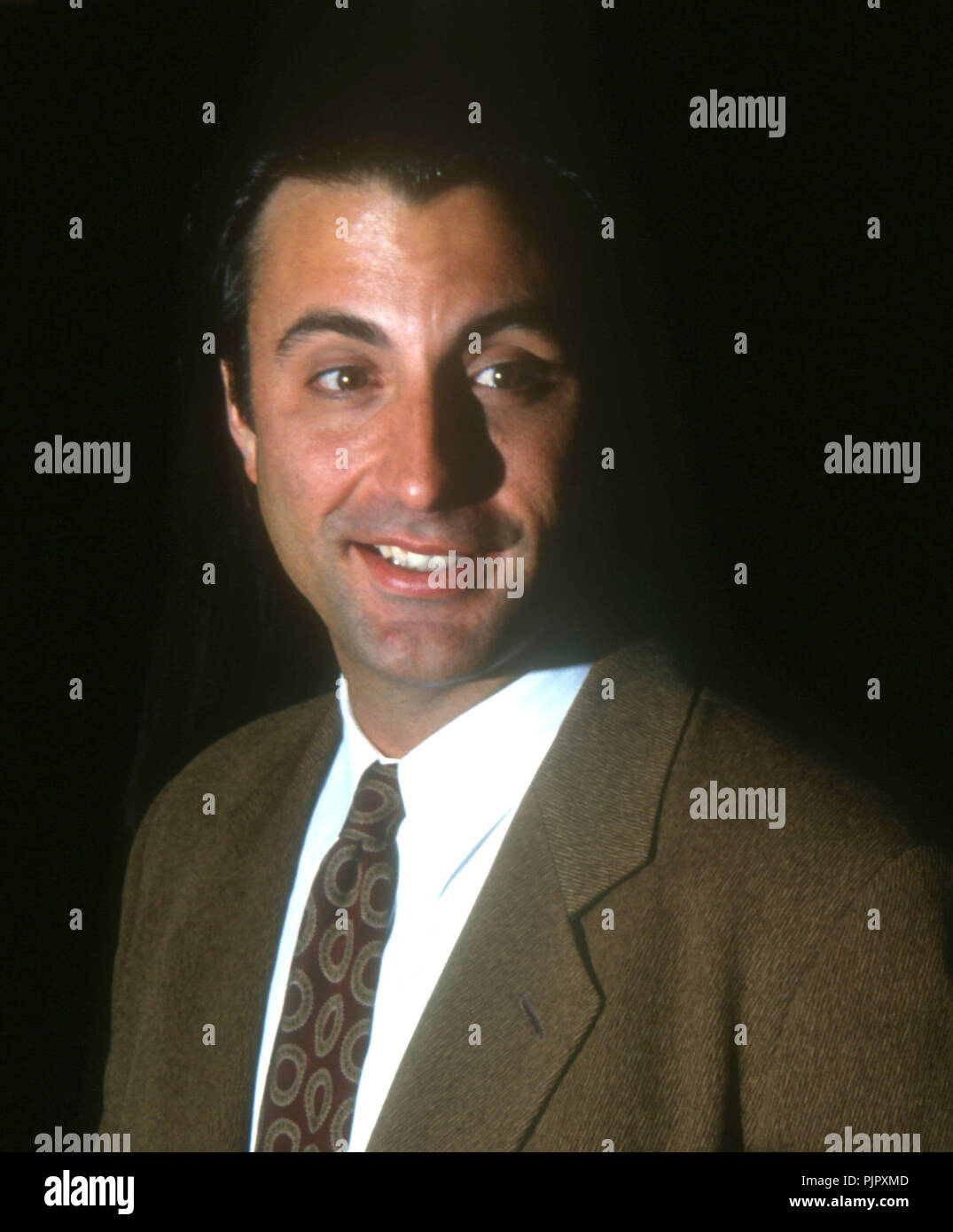 Andy Garcia Young Wife