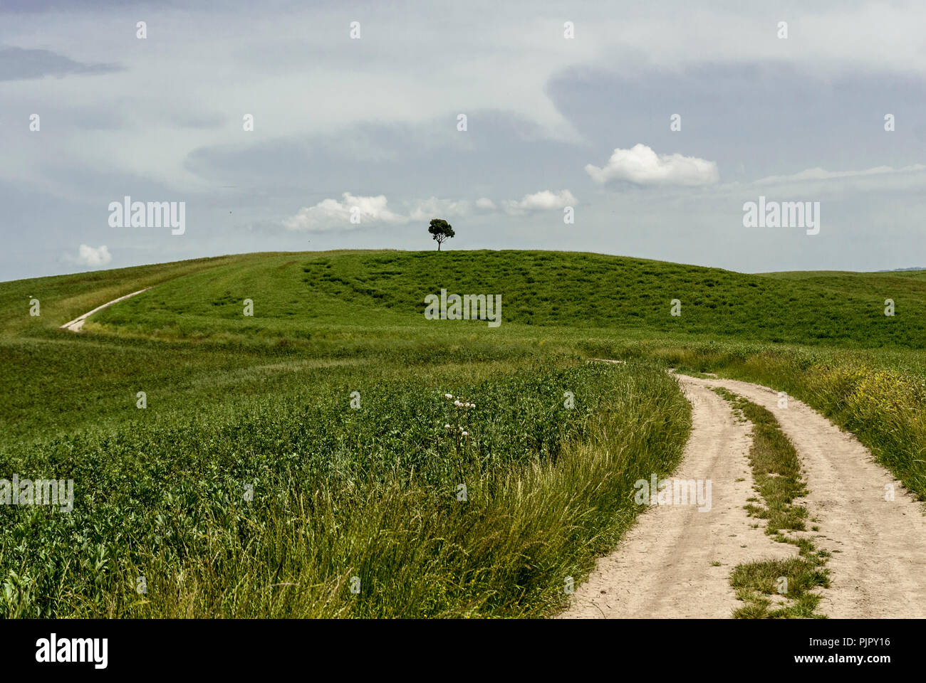 Crete senesi landscape,Tuscany,Italy.2018 Stock Photo - Alamy