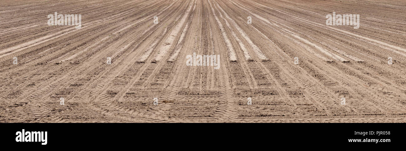 Cultivation ground hi-res stock photography and images - Alamy