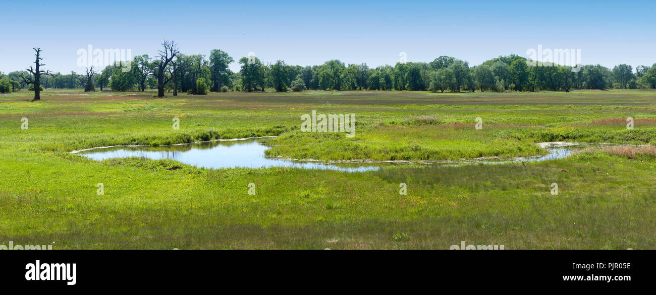 panoramic landscape with big wide meadow and little river Stock Photo ...