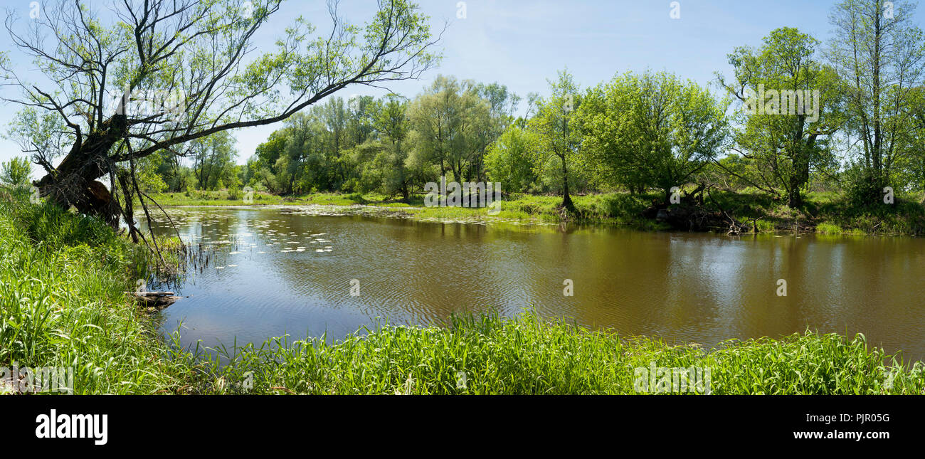 Panorama spring nature trees hi-res stock photography and images - Alamy