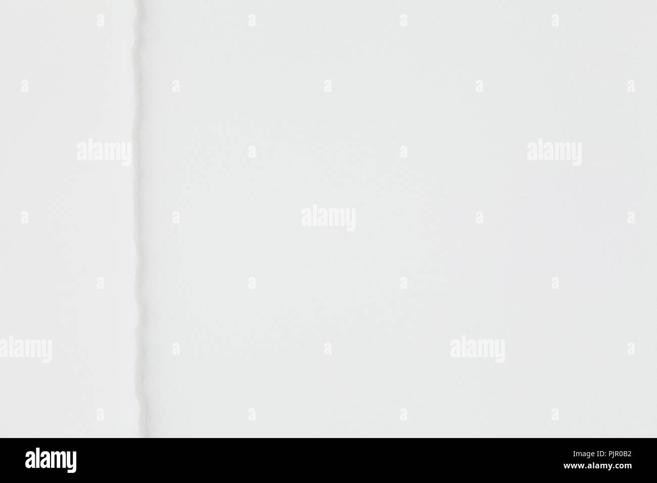 white paper background with soft pattern texture and margin on left ...