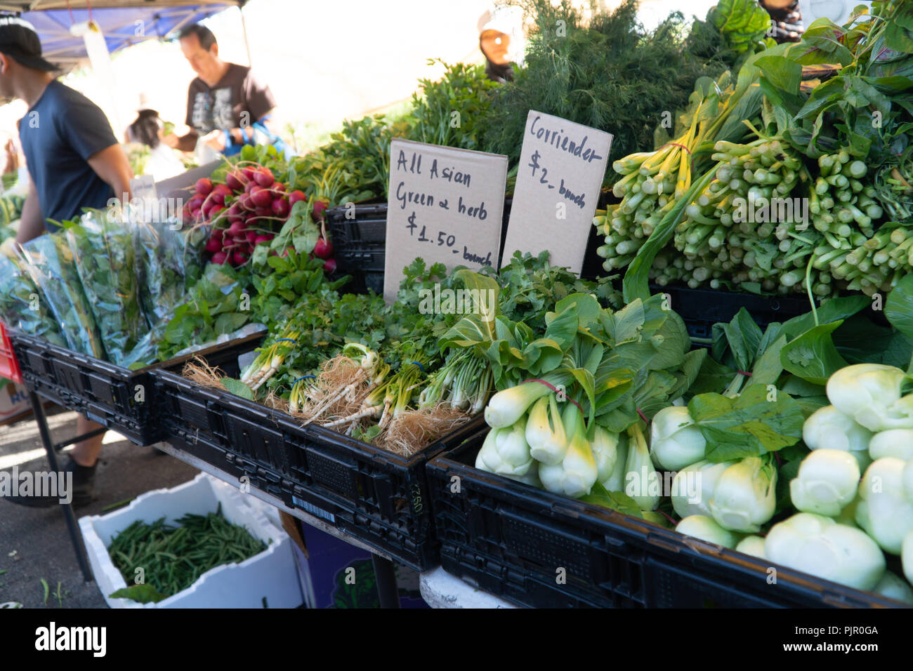 Food green vegetables australia hi-res stock photography and images - Alamy