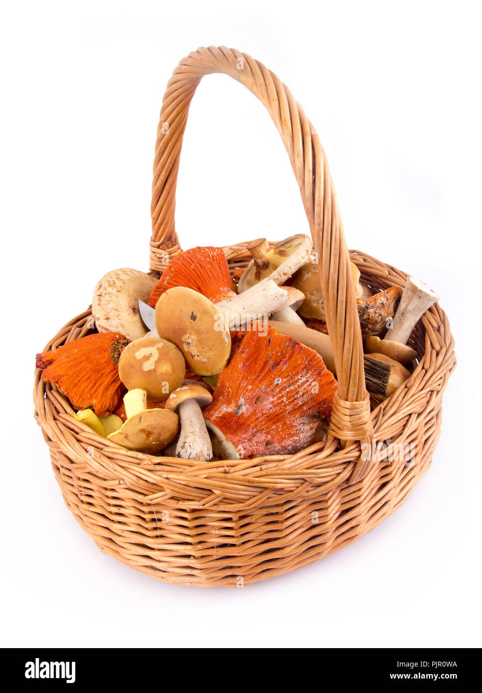 Foraging Basket