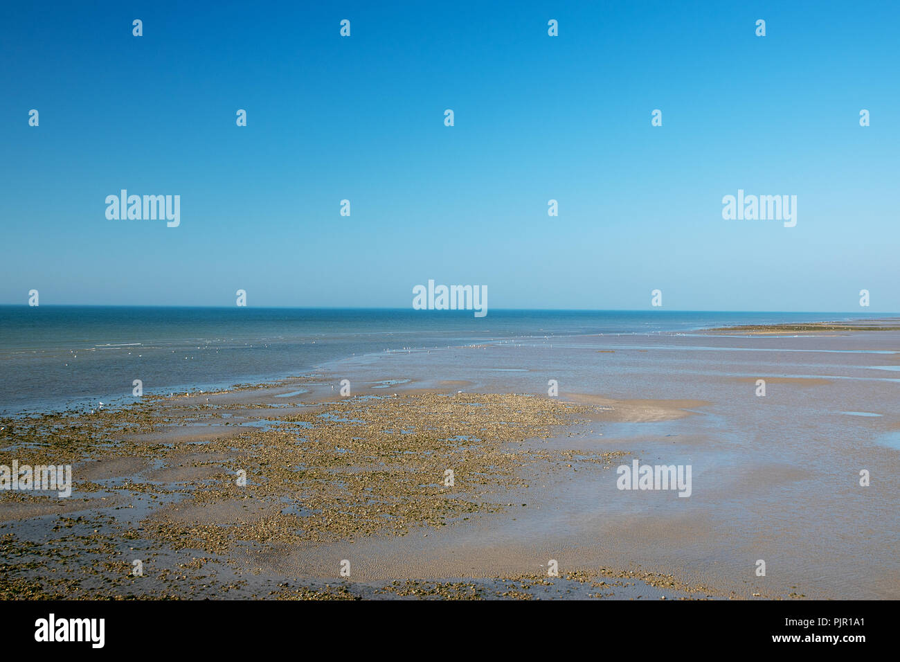 Wide angle view of the English seaside shoreline with the tide out ...