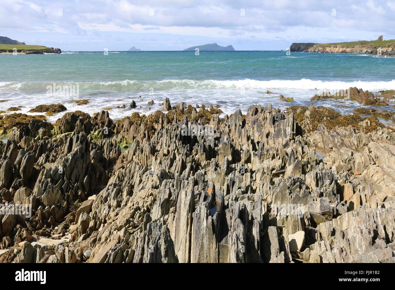 Fossiliferous hi-res stock photography and images - Alamy