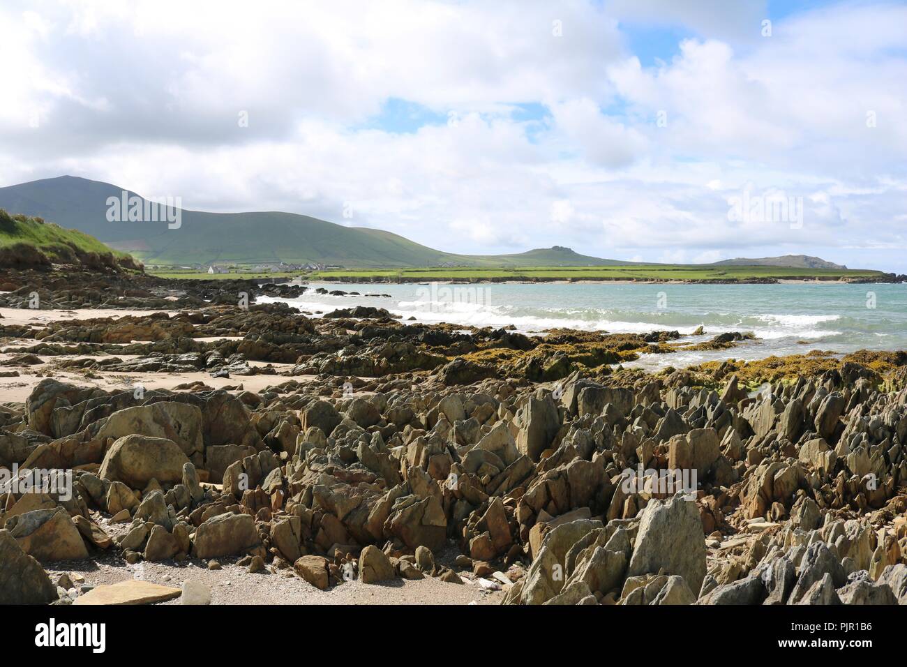 Jointed fossiliferous brown siltstones and sandstones of the Ferriter's ...
