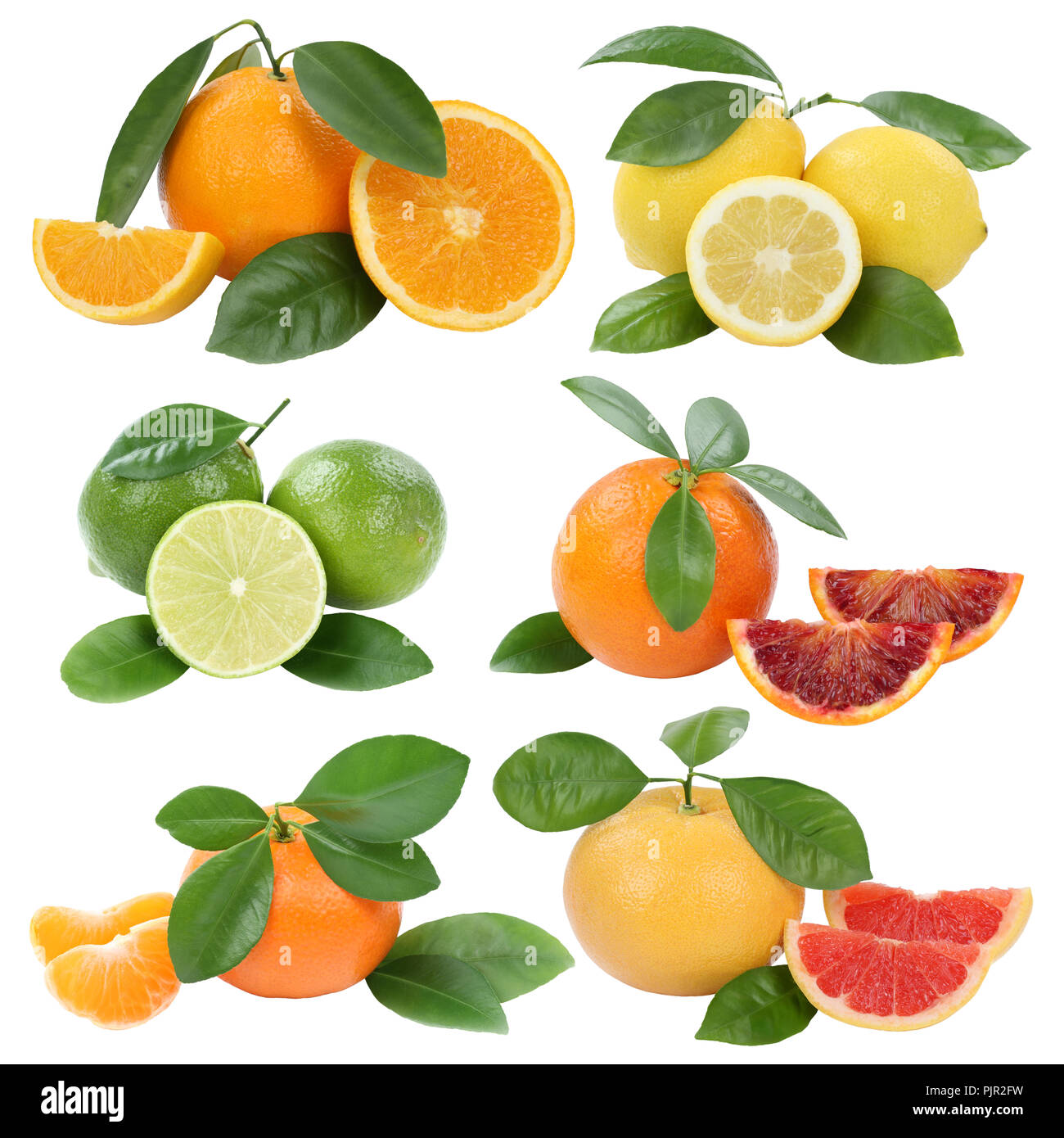 Collection of oranges mandarin lemon grapefruit fruits isolated on a ...